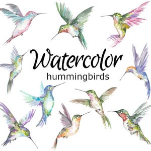Watercolor Hummingbird Clipart Set: Hand-painted PNG Graphics - Etsy
