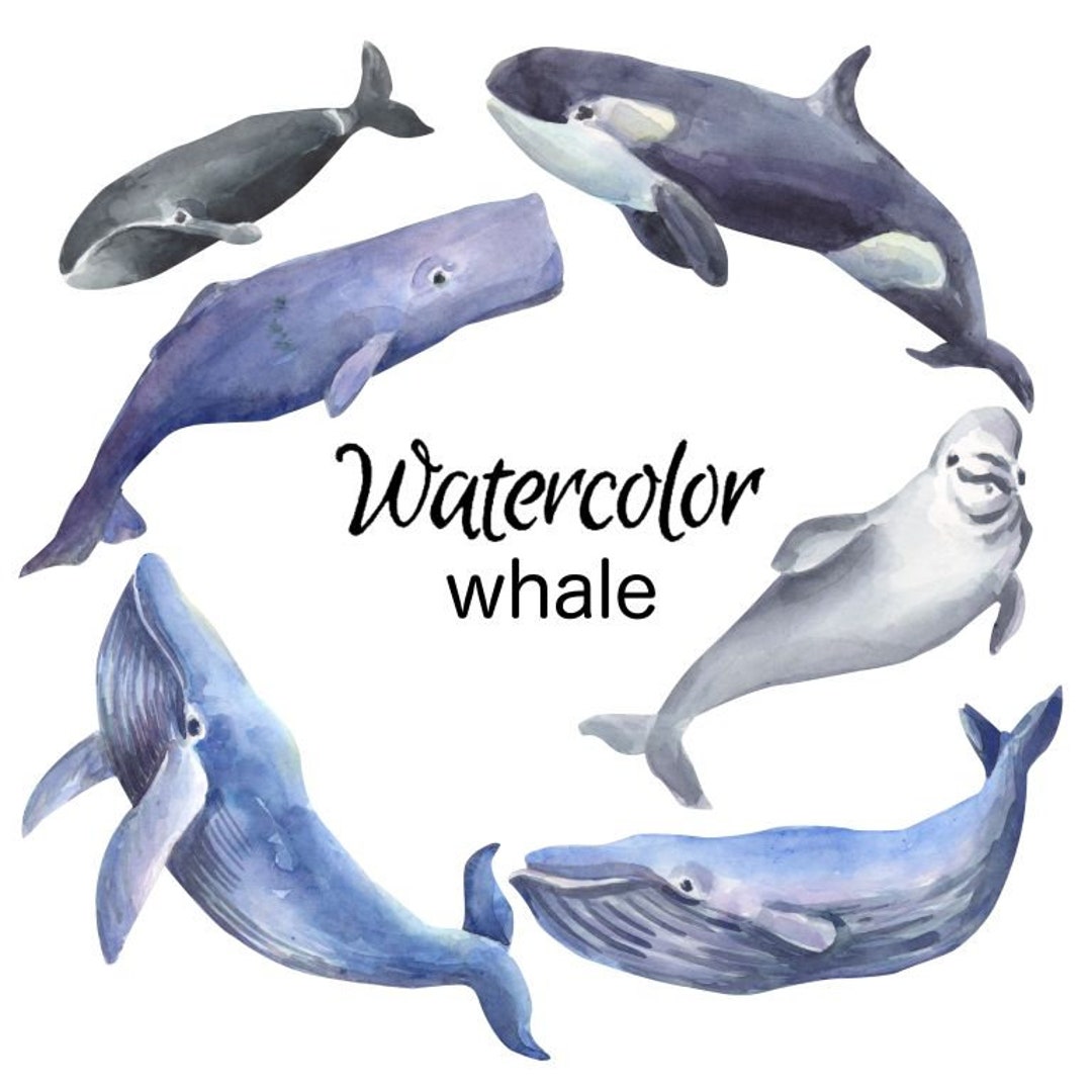 WATERCOLOR CLIPART, Whale Clip Art Nature Scrapbooking Ocean Animals ...