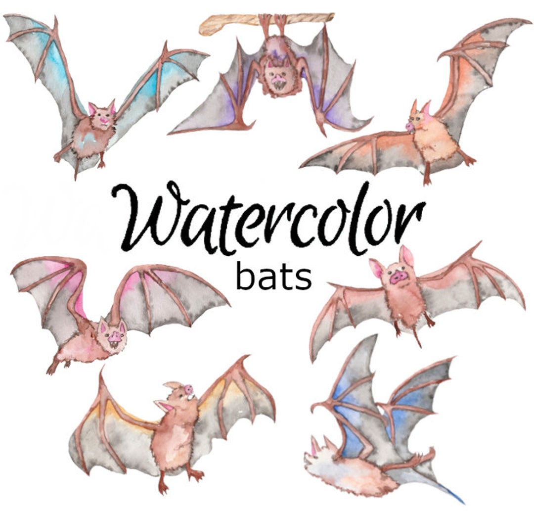WATERCOLOR CLIPART Bat Clip Art Nature Scrapbooking Animals Png ...
