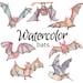 WATERCOLOR CLIPART Bat Clip Art Nature Scrapbooking Animals Png ...