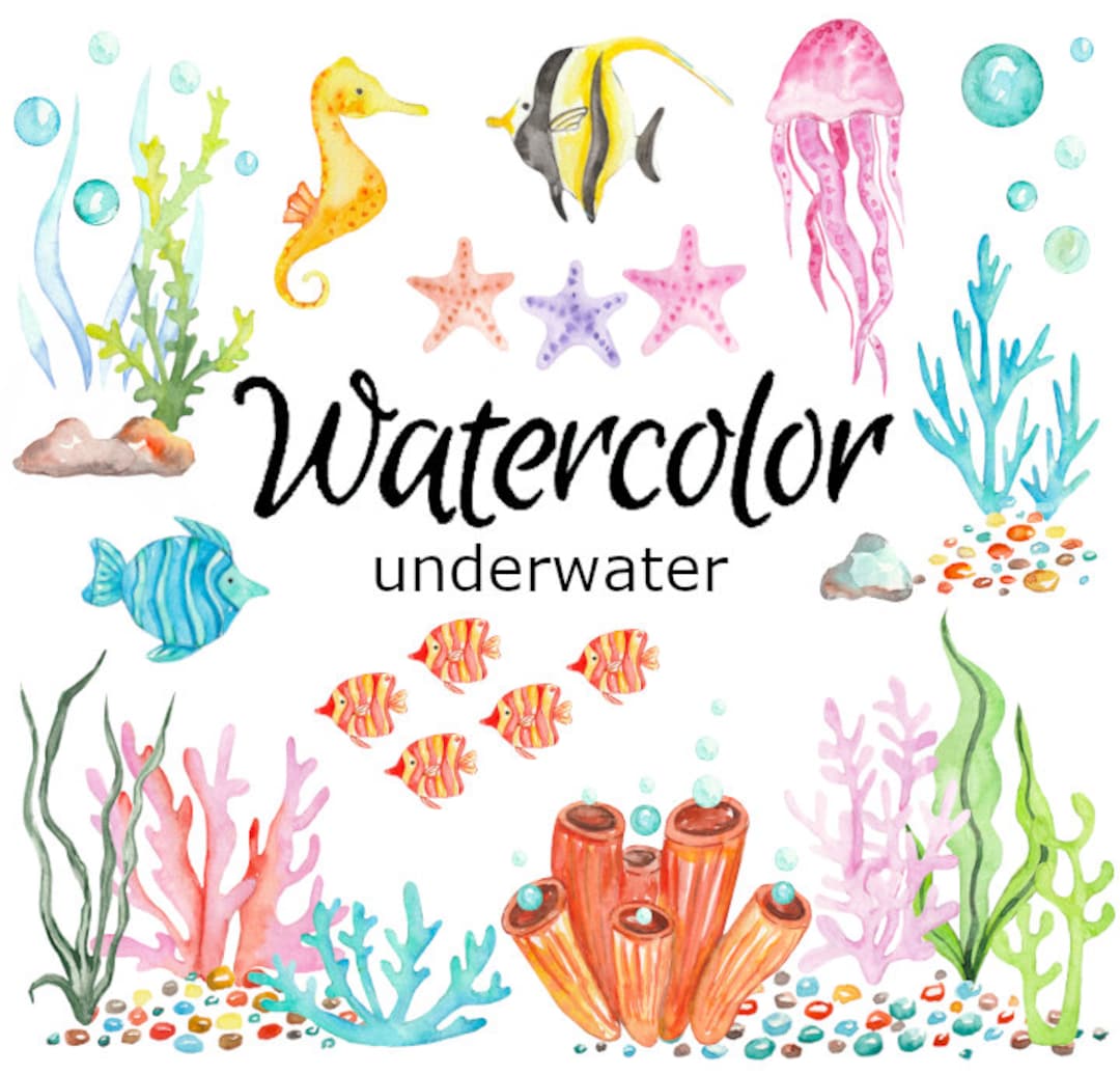 Watercolor Underwater Clipart: Ocean PNG Graphics (digital Download) - Etsy