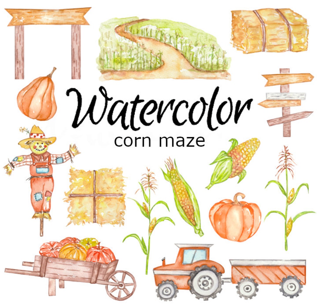 WATERCOLOR CLIPART Corn Maze Pattern Png Graphics Watercolour Farm Fall ...