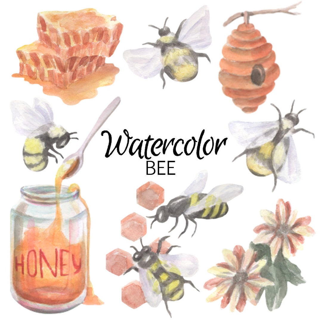 WATERCOLOR CLIPART, Bee Clipart, Honey, Nature, Scrapbooking Clip Art ...