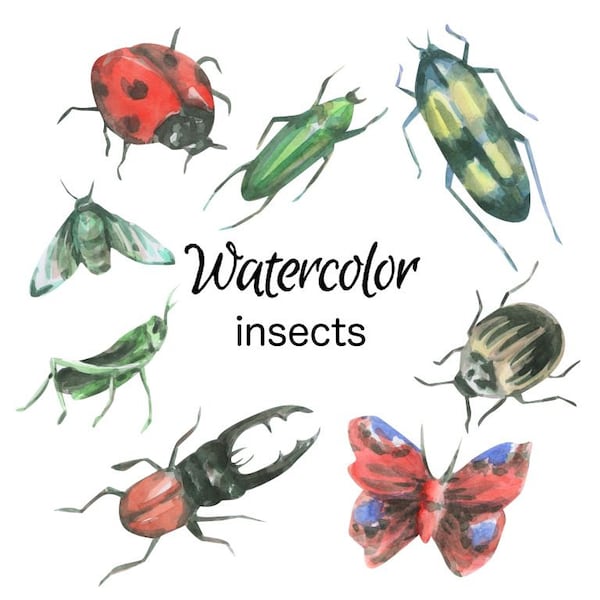 Watercolor Insects - Etsy