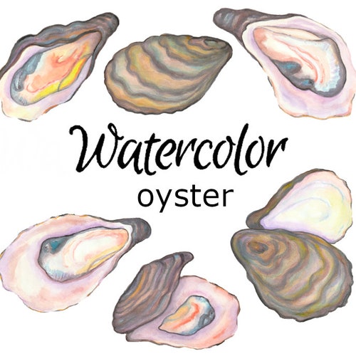 Watercolor Clipart Oyster Clipart Summer Clip Art - Etsy