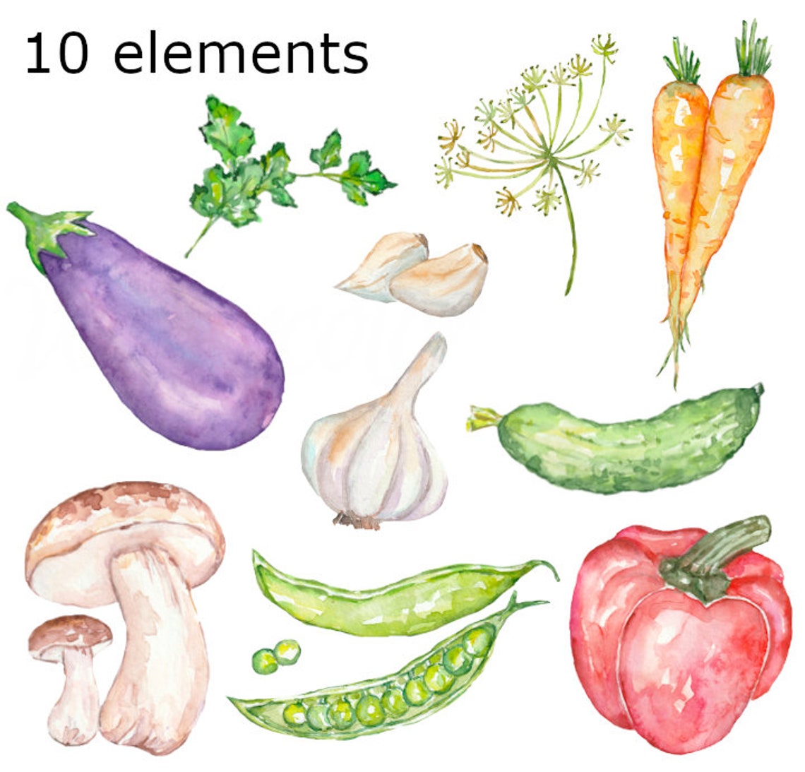 Vegetable Watercolor Clipart Set: Kitchen Scrapbooking Graphics (PNG ...