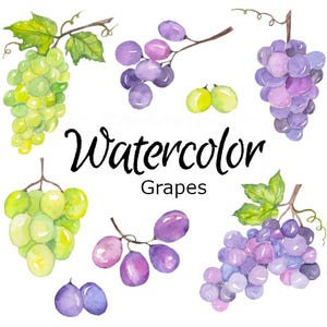 WATERCOLOR CLIPART, Grapes Scrapbooking Kitchen Png, Graphics ...