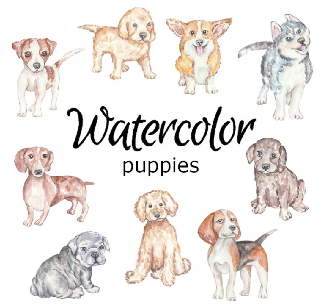 WATERCOLOR CLIPART Puppies Dogs Clip Art Scrapbooking Png, Graphics ...