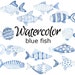 Blue Fish Watercolor Clipart: Ocean Animals PNG (digital Download) - Etsy
