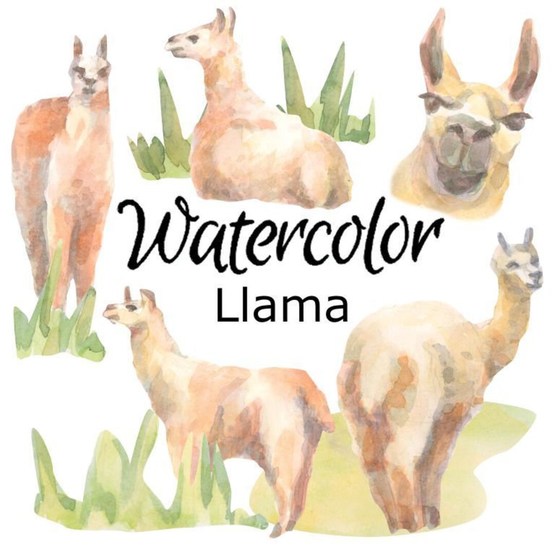 WATERCOLOR CLIPART Llama Clip Art Nature Scrapbooking Animals Png ...