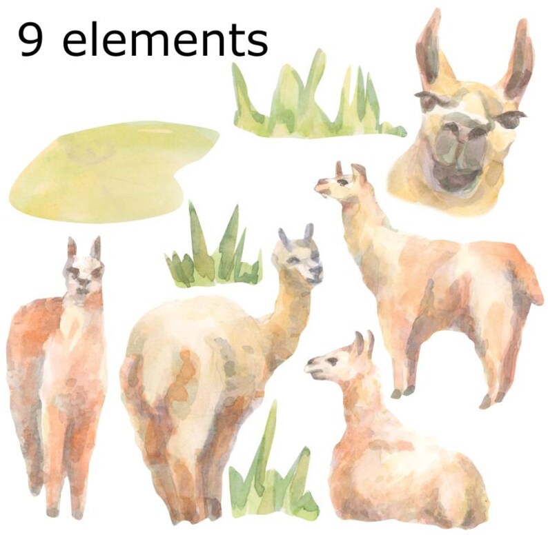 Watercolor Llama Clipart Set: PNG Graphics (digital Download) - Etsy