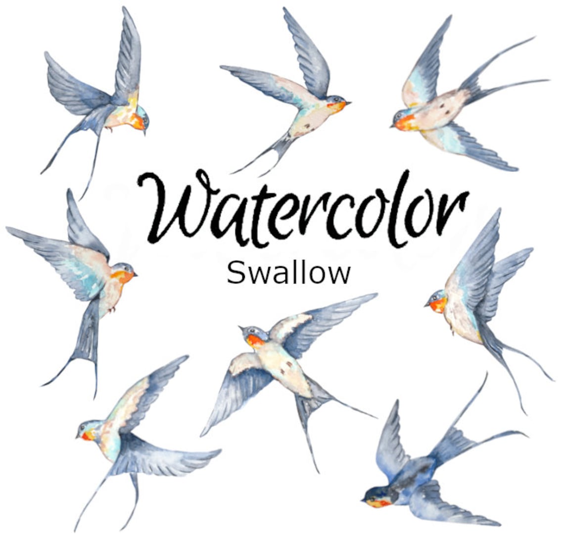 Watercolor Swallow Clipart: Bird Illustration Graphics (PNG) - Etsy
