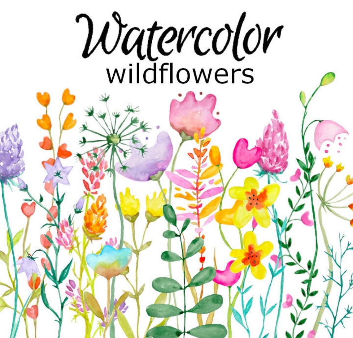 WATERCOLOR CLIPART Wildflowers Flowers Png Graphics - Etsy