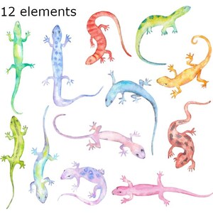 WATERCOLOR CLIPART Lizard Nature Scrapbooking Clip Art Grasshopper Png ...