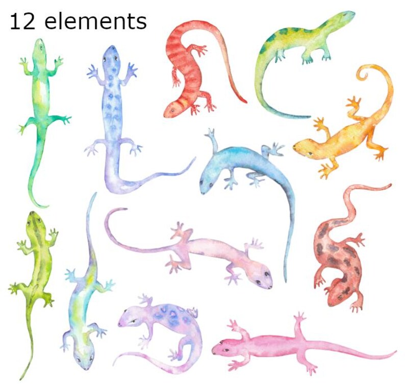 Watercolor Lizard Clipart Set: Tropical Reptile Illustrations (PNG, 600 ...