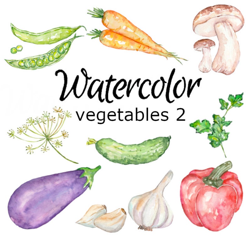 Vegetable Watercolor Clipart Set: Kitchen Scrapbooking Graphics (PNG ...