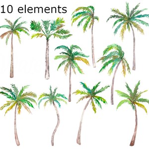 WATERCOLOR CLIPART, Palm Trees Scrapbooking Forest Png, Graphics ...