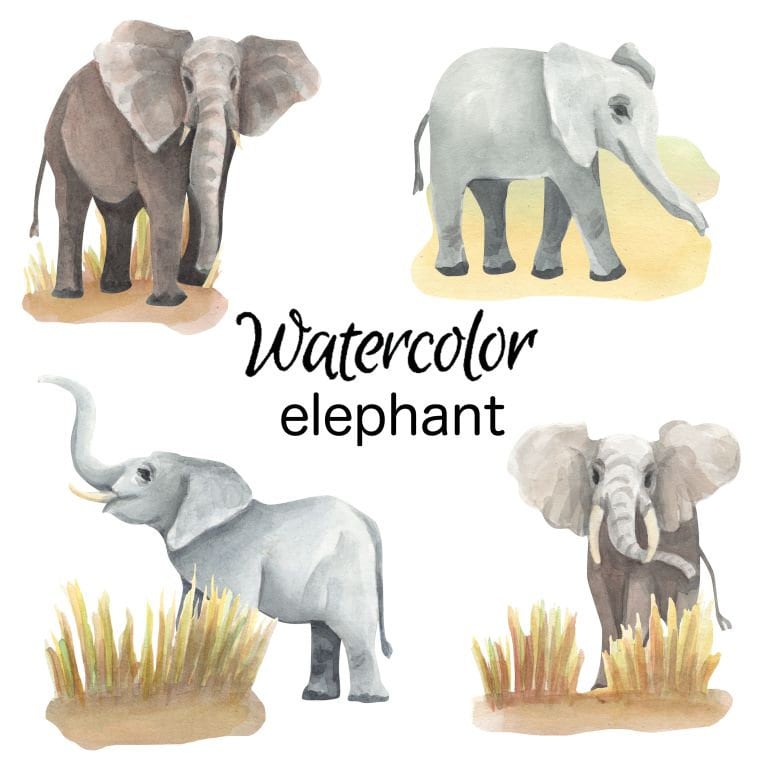 WATERCOLOR CLIPART elephant clip art nature scrapbooking | Etsy