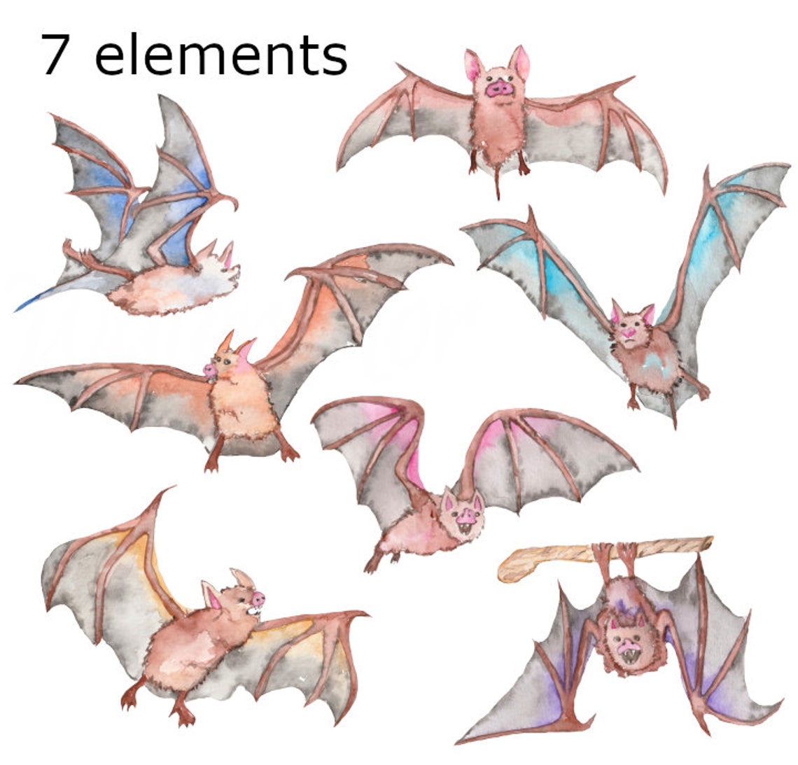 WATERCOLOR CLIPART Bat Clip Art Nature Scrapbooking Animals - Etsy