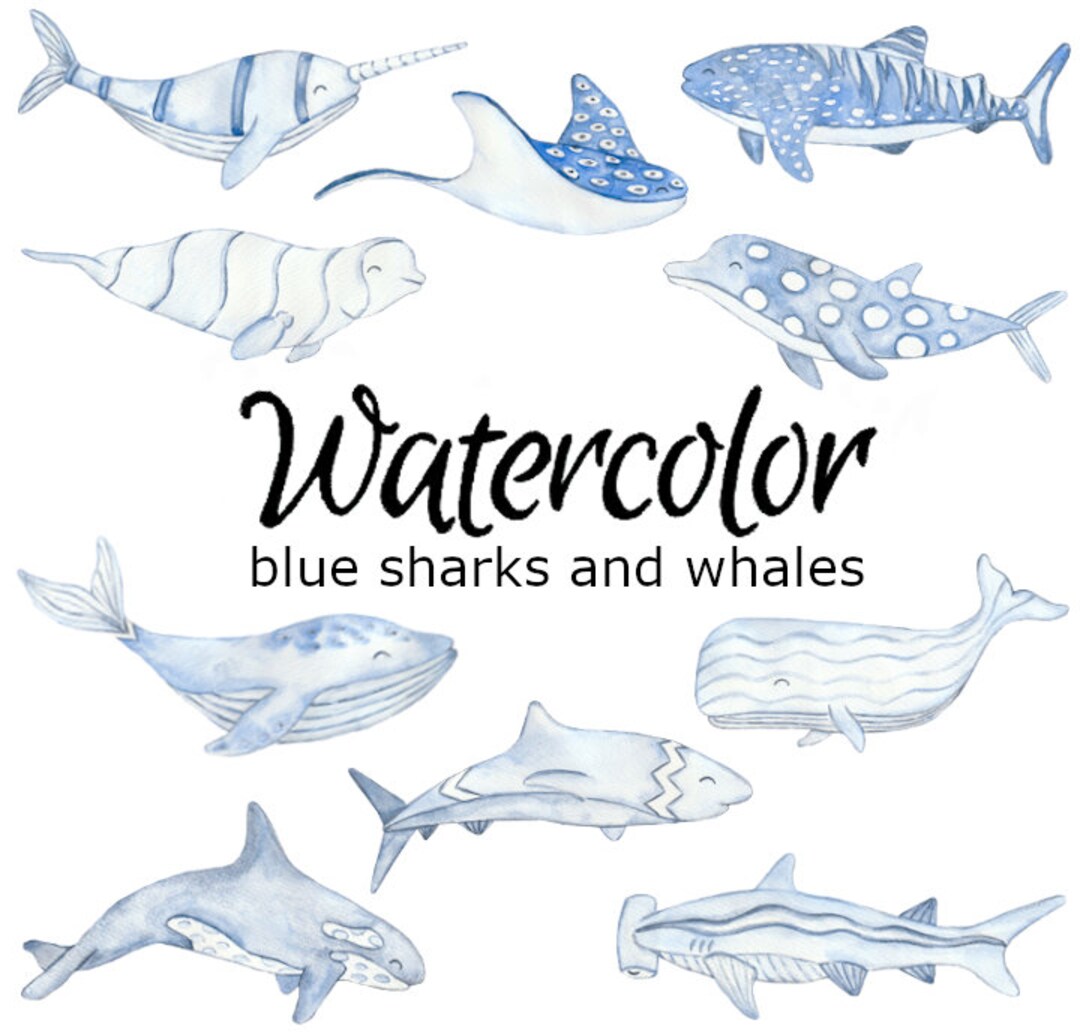 WATERCOLOR CLIPART, Blue Sharks and Whales Clip Art Nature Ocean ...