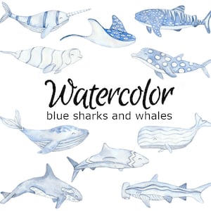 WATERCOLOR CLIPART, Blue Sharks and Whales Clip Art Nature Ocean ...