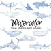 WATERCOLOR CLIPART, Blue Sharks and Whales Clip Art Nature Ocean ...