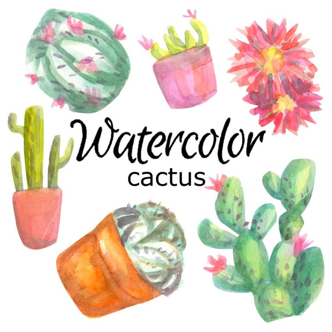 WATERCOLOR CLIPART Cactus Flower Png Graphics Watercolour Illustration ...