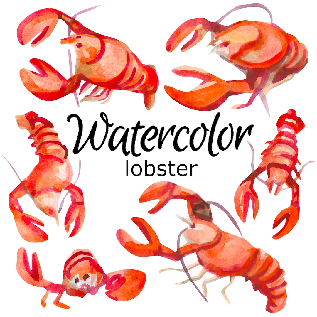 Watercolor Lobster Clipart: Ocean Animal Graphics (PNG) - Etsy