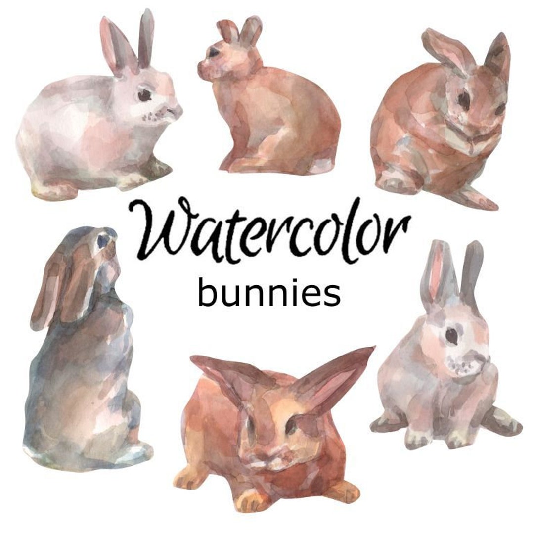WATERCOLOR CLIPART Bunny Clip Art Nature Scrapbooking Animals Png ...