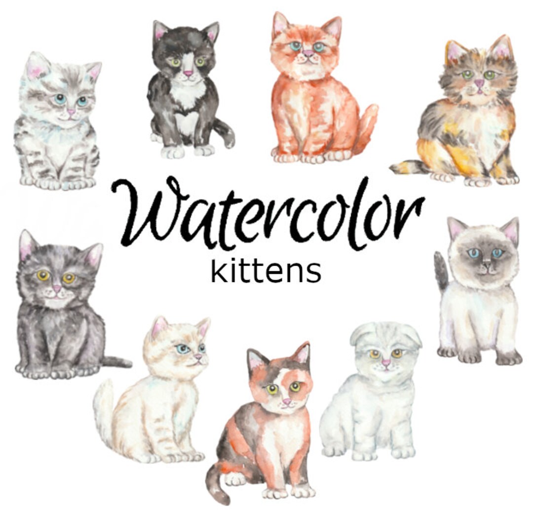 WATERCOLOR CLIPART Kittens Cat Clip Art Scrapbooking Png, Graphics ...