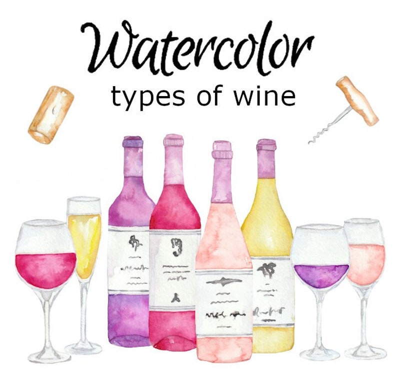 WATERCOLOR CLIPART Types of Wine Art Scrapbooking Png - Etsy