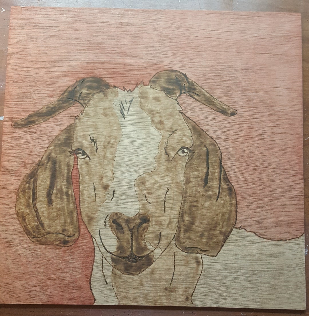 Horned Goat Wood Burning, Pyrography, Watercolor, Farm Animal - Etsy