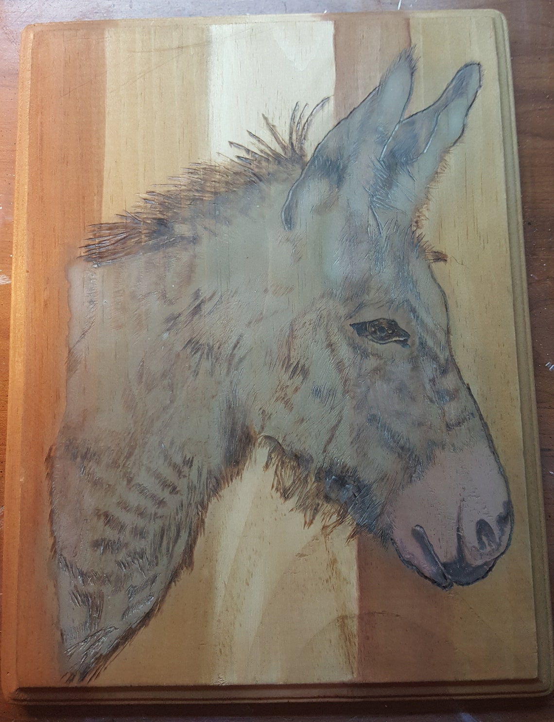 He-haw Donkey Wood Burning, Pyrography, Acrylic Painting - Etsy