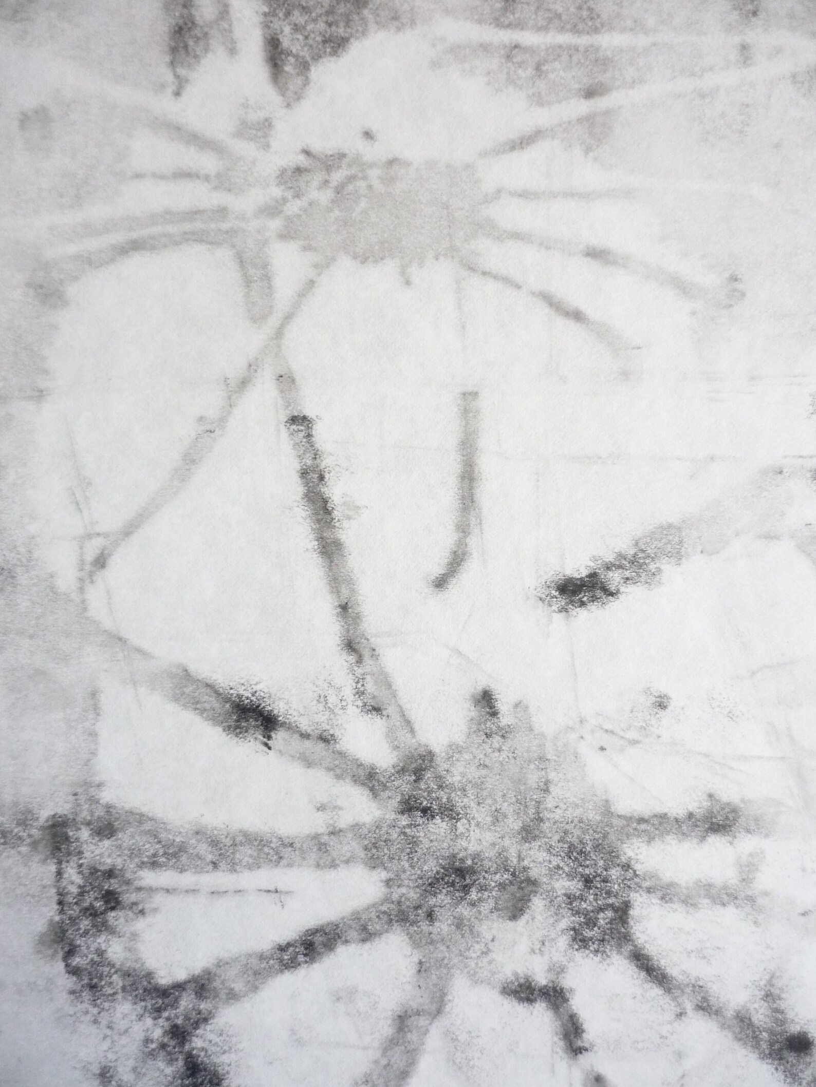 Ghost Giant Spider-crab Monoprint, 11 X 14 - Etsy