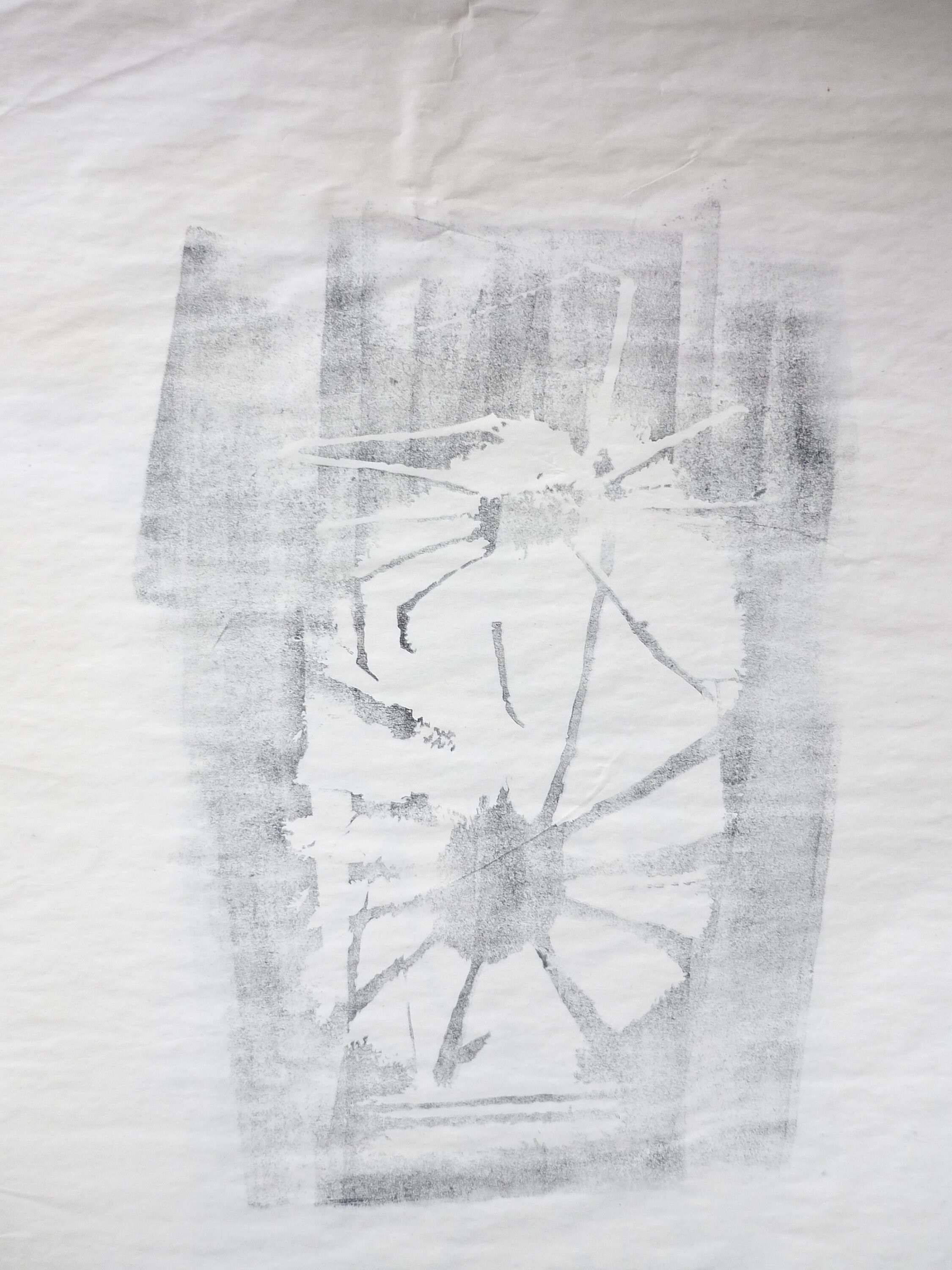 Ghost Giant Spider-crab Monoprint, 11 X 14 - Etsy
