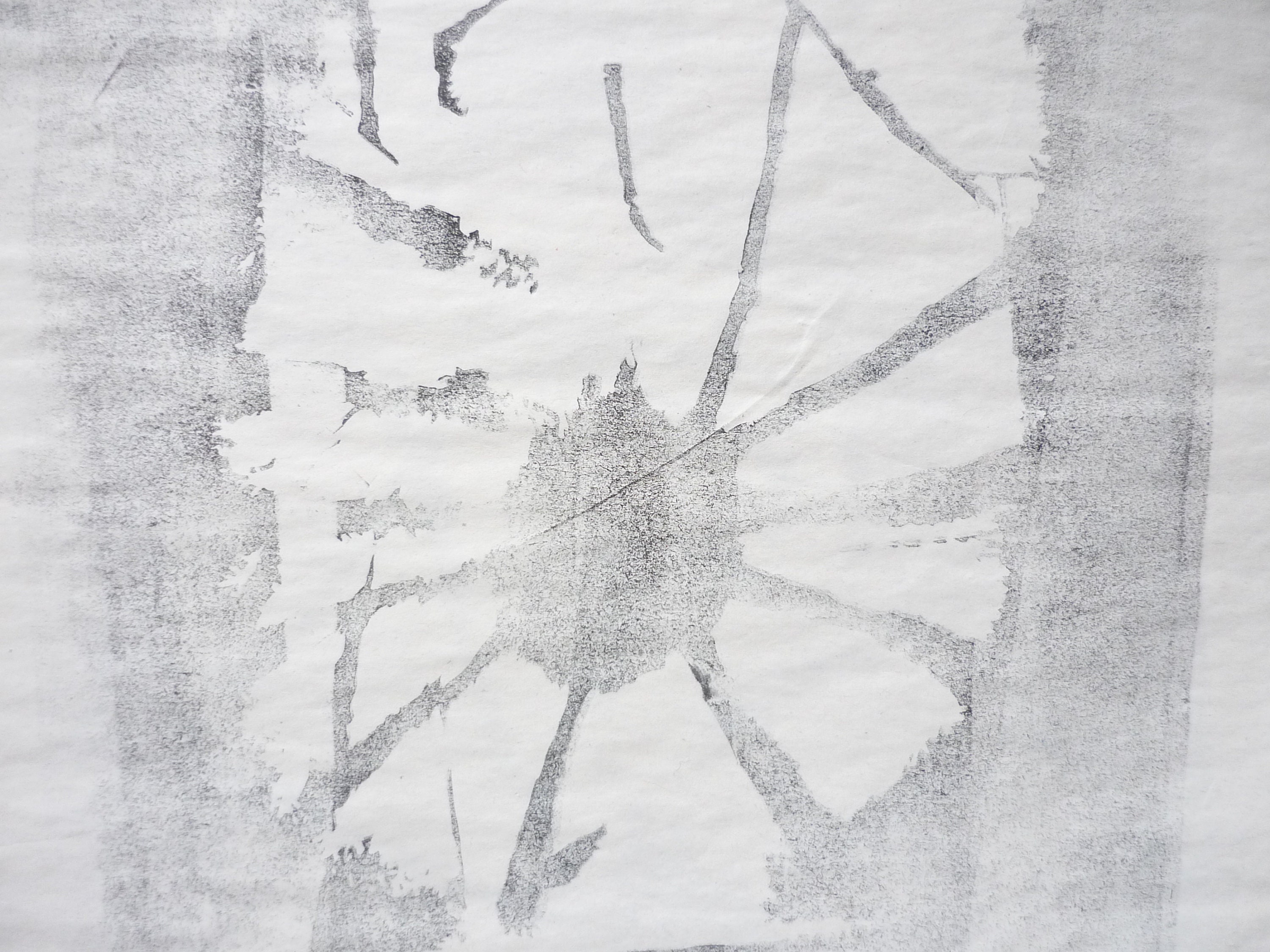 Ghost Giant Spider-crab Monoprint, 11 X 14 - Etsy