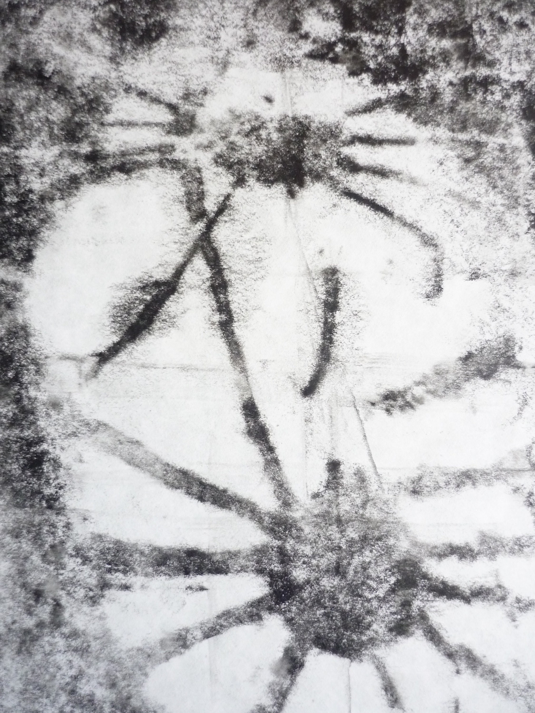 Ghost Giant Spider-crab Monoprint, 11 X 14 - Etsy
