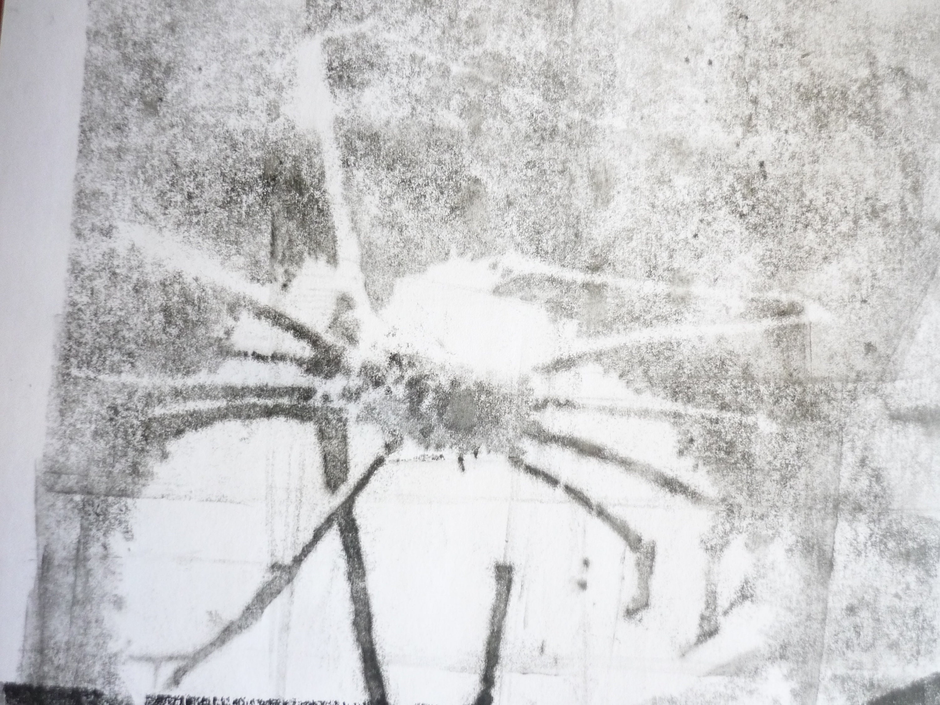 Ghost Giant Spider-crab Monoprint, 11 X 14 - Etsy