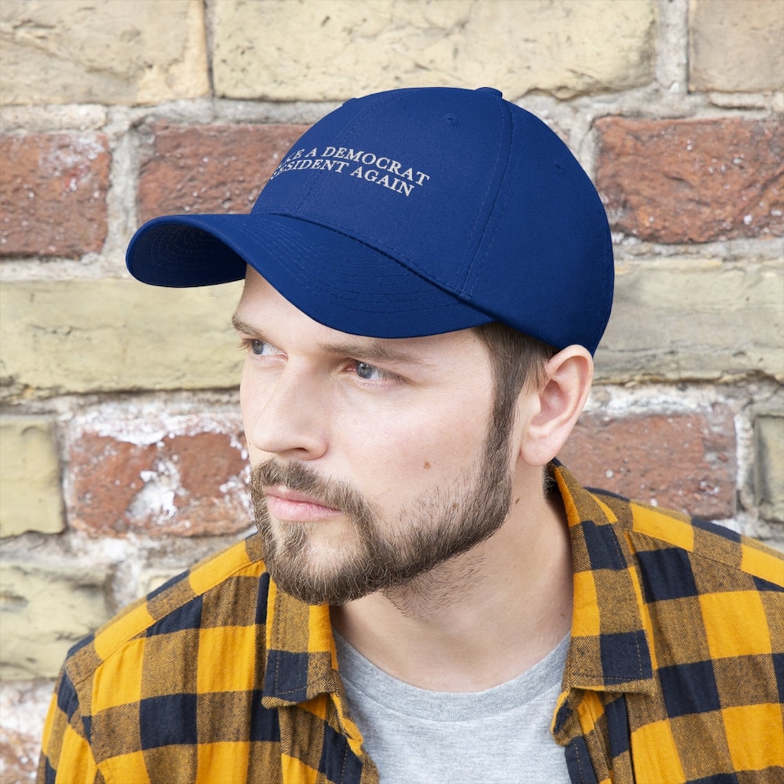 Make A Democrat President Again Hat Democrats 2020 Joe - Etsy