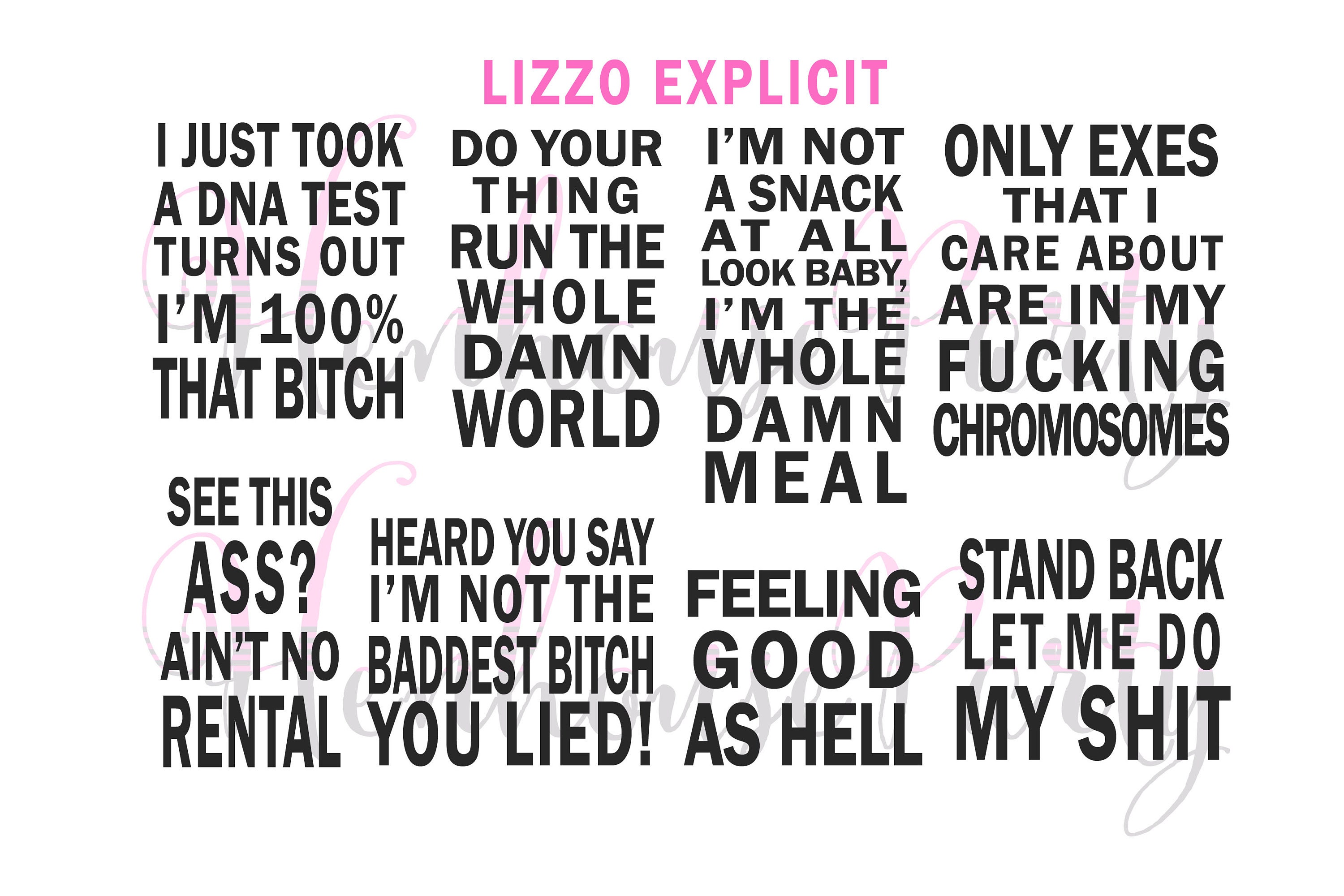 Lizzo Lyrics Vinyl Sticker / Decal Lizzo Crafts Lizzo | Etsy