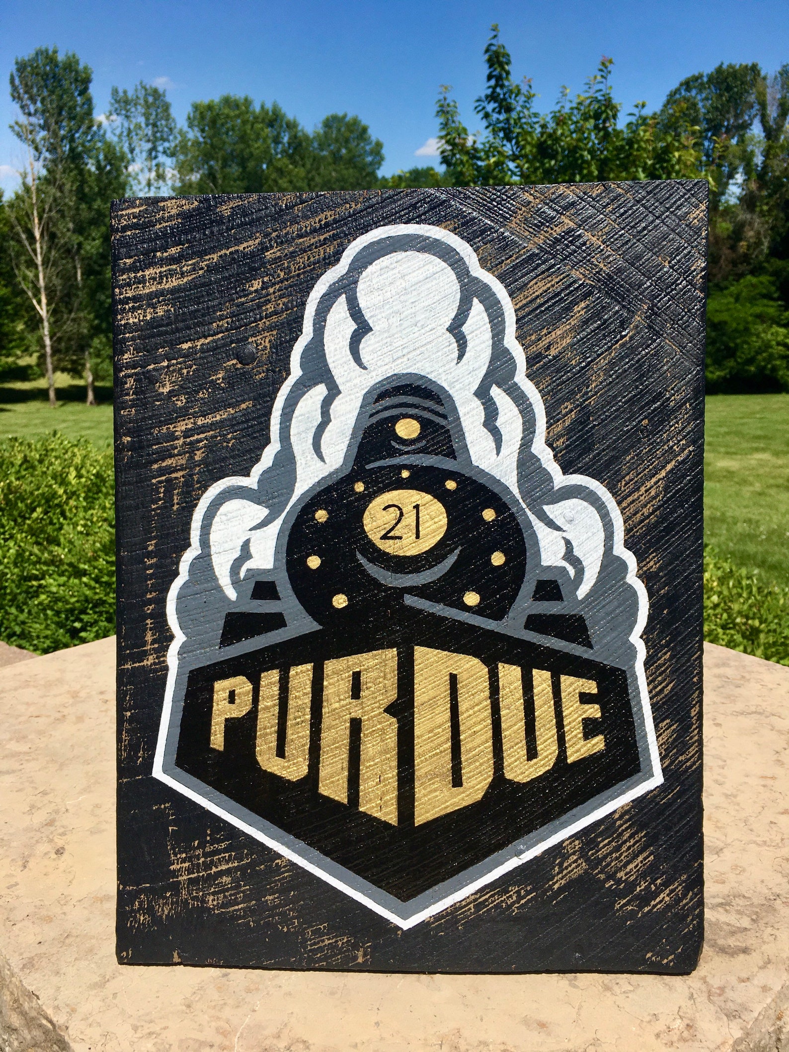 Custom Hand Painted Wood Sign College Grad Graduate or College - Etsy