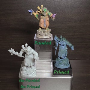 Shellspike Turtle-croaker-shaman-the Shellback Ritual-lord of the Print ...