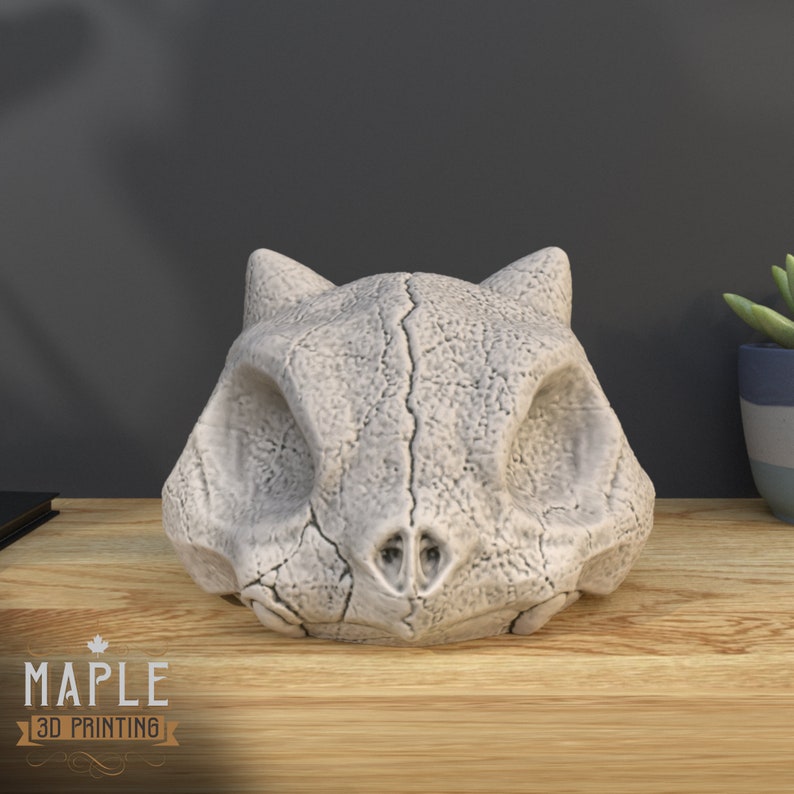 Unique 3D Printed Mewtwo-bulbasaur-charmander-scyther Skull Figures - Etsy