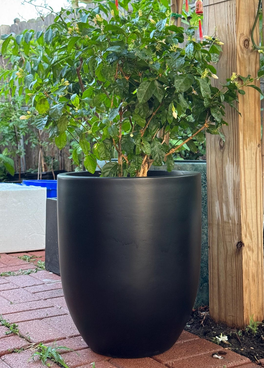 Matte Black Fiberglass Planter: Modern Round Garden Pot - Etsy