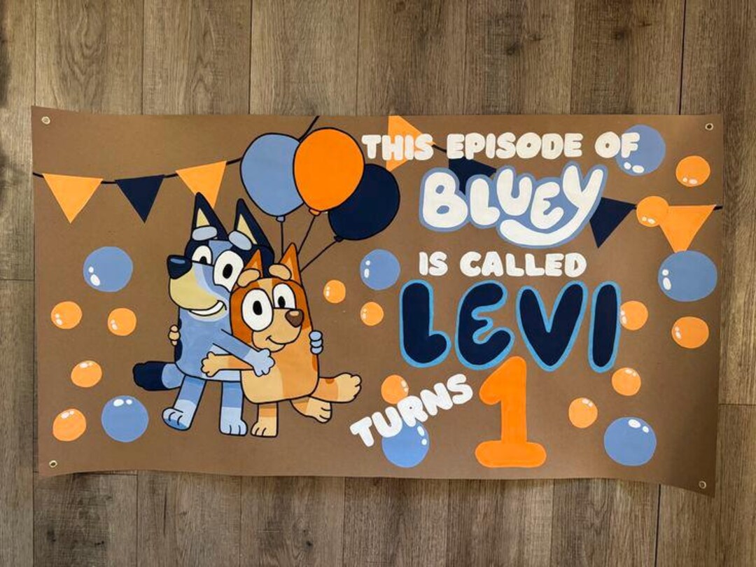 Bluey Custom Hand-painted Party Banner for Birthday Party, Personalized ...