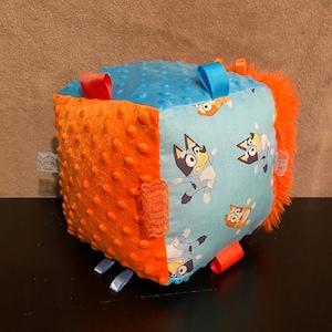 Bluey Sensory Cube Made to Order - Etsy