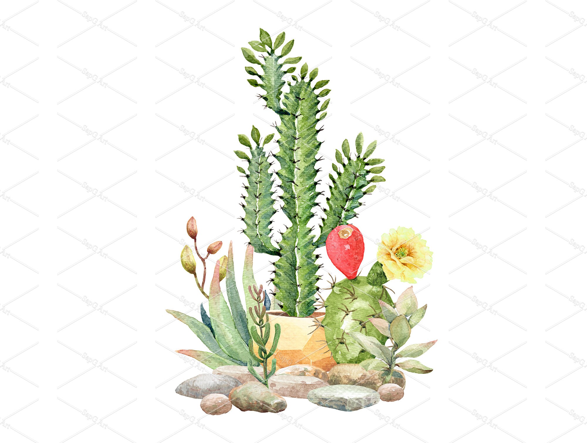 Papercraft Flower digital file PNG JPG Watercolor collection cactus ...