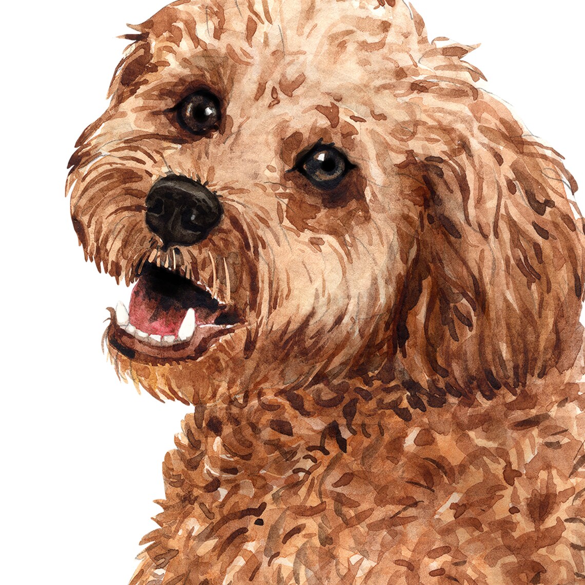 Cockapoo Watercolor Illustration. Poodle Turn Around Layer - Etsy