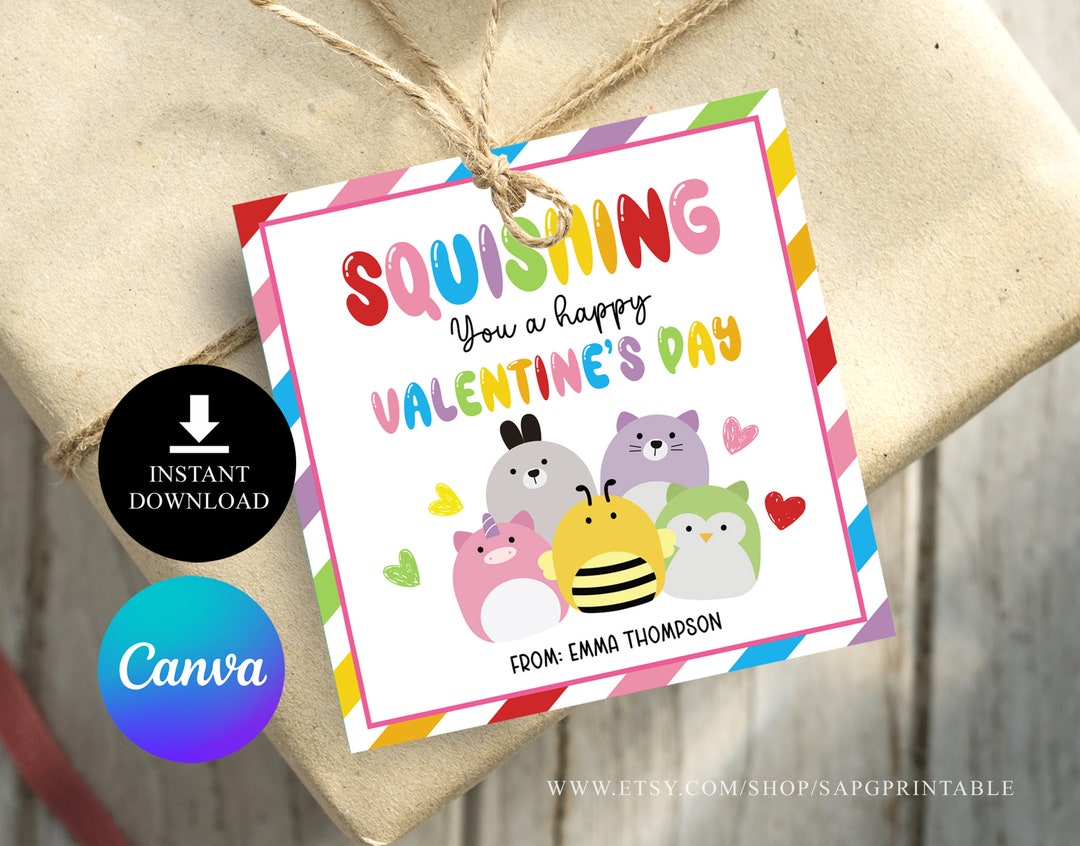 Editable Squish Valentine Cards Gift Tag Kids Classroom, School ...