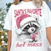 Santa's Favorite Hot Mess PNG, Funny Christmas Raccoon Png, Christmas ...